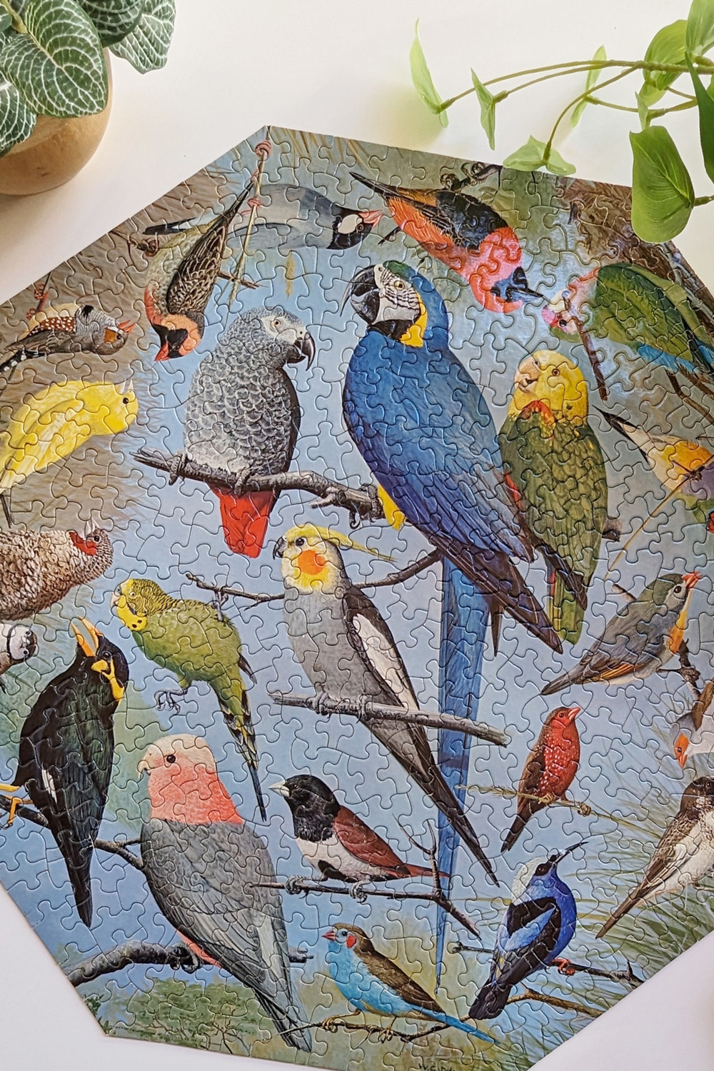 Aviary Birds | Vintage Springbok Puzzle Review – Every Little Piece